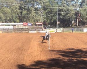 Gymkhana | Penn Valley Rodeo
